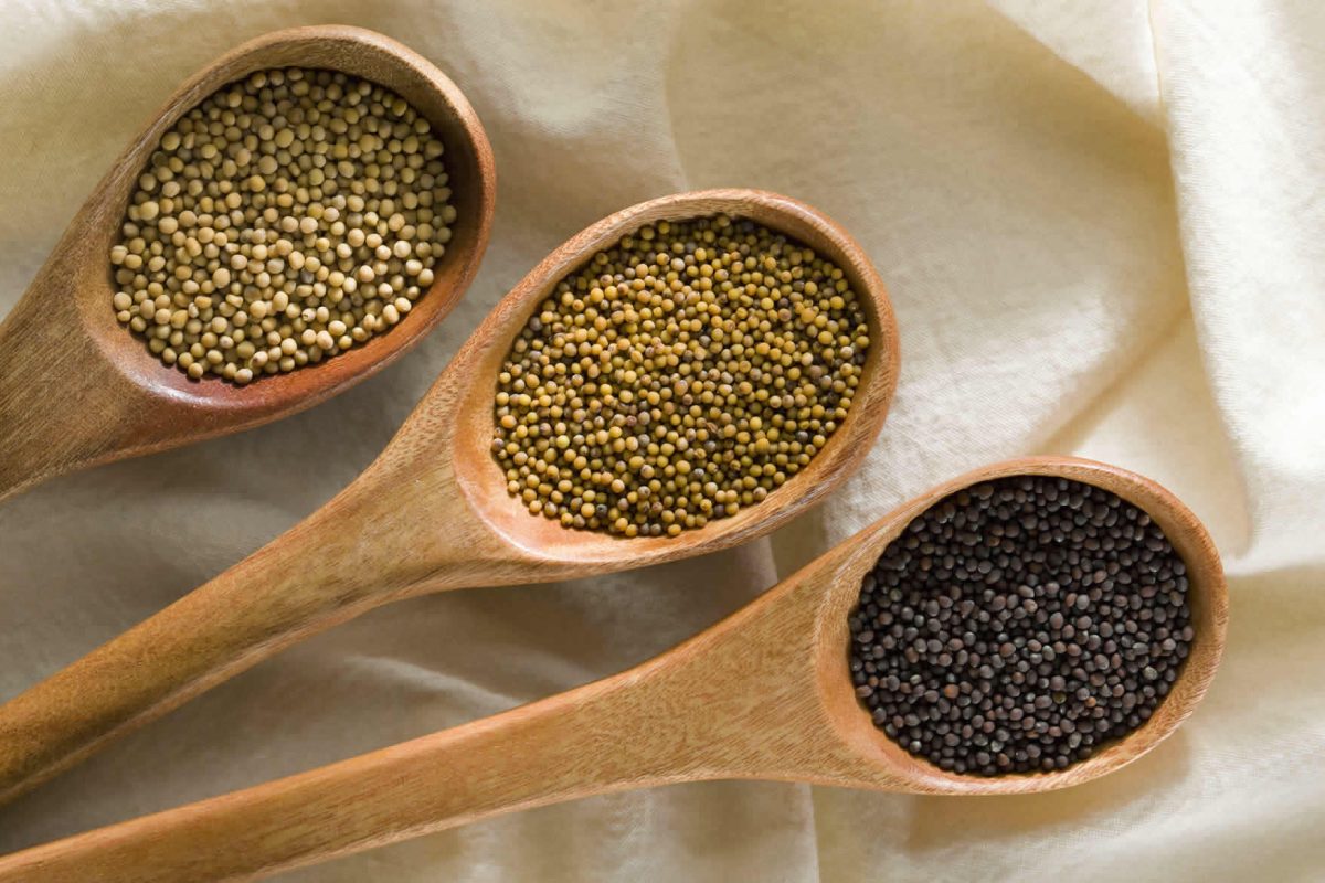 About Mustard - Mustard 21 Canada Inc.